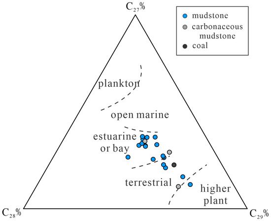 Geochemical Characteristics and Depositional Environment of Coal ...