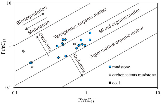 Geochemical Characteristics and Depositional Environment of Coal ...
