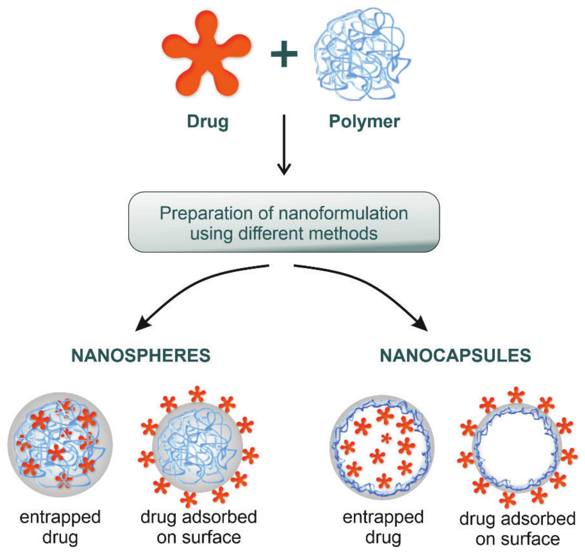 Applied Sciences Free Full Text Polymeric Nanoparticles—tools In A