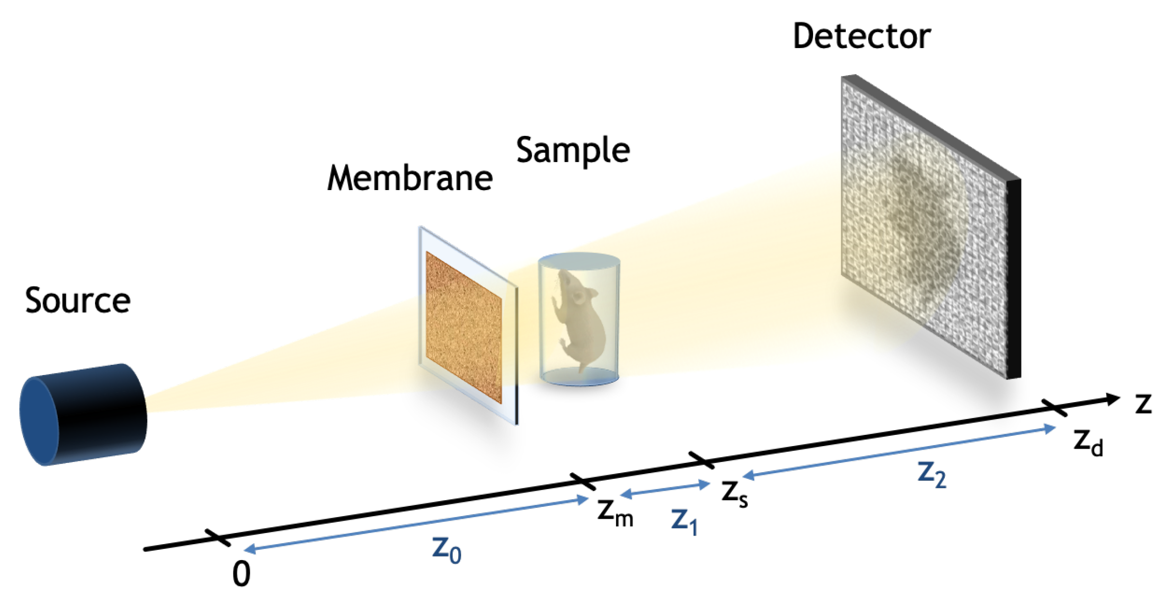 X-ray Phase Contrast Imaging from Synchrotron to Conventional Sources: A Review of the Existing ...