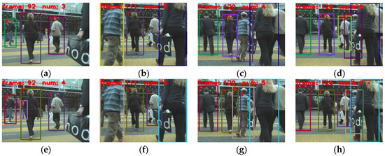 A Multi-Pedestrian Tracking Algorithm for Dense Scenes Based on an Attention Mechanism and Dual ...
