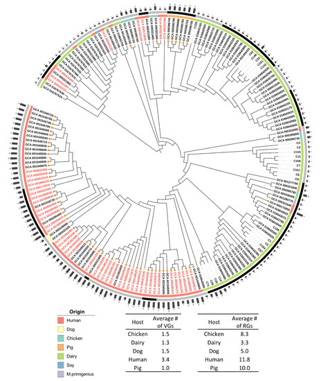 Whole-Genome Sequencing and Comparative Genomic Analysis of ...
