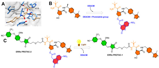 Light-Activating PROTACs in Cancer: Chemical Design, Challenges, and ...