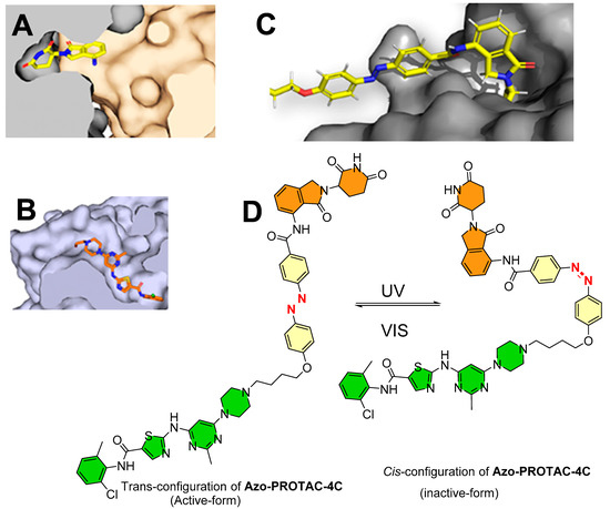 Light-Activating PROTACs in Cancer: Chemical Design, Challenges, and ...