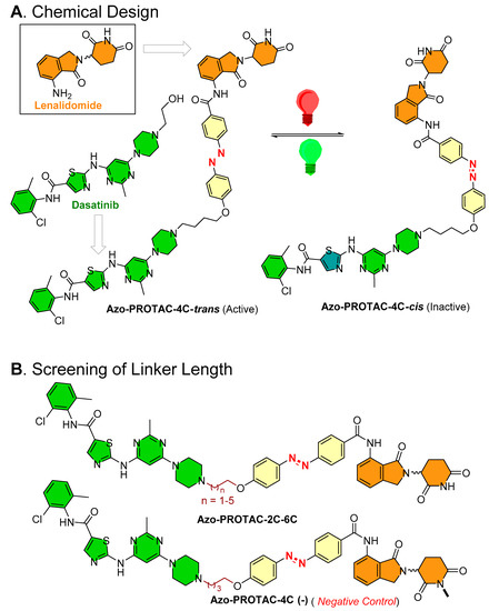 Light-Activating PROTACs in Cancer: Chemical Design, Challenges, and ...