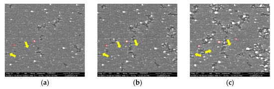 In Situ Annealing Behavior of Cu Thin Films Deposited over Co-W ...