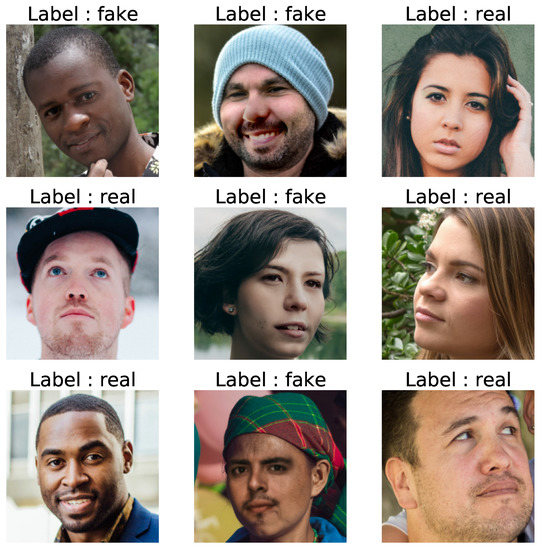 A Novel Deep Learning Approach for Deepfake Image Detection