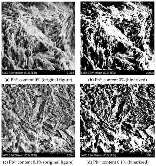 Effect of Lead Ion Contamination on the Microstructure of Guilin Red Clay
