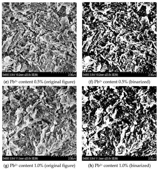 Effect of Lead Ion Contamination on the Microstructure of Guilin Red Clay