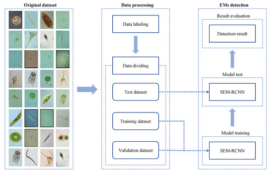 SEM-RCNN: A Squeeze-and-Excitation-Based Mask Region Convolutional ...