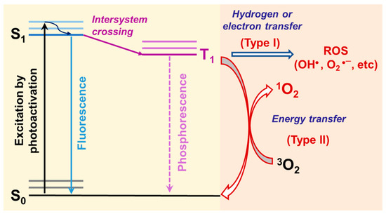 Applied Sciences | Free Full-Text | Recent Development of Heavy Atom ...