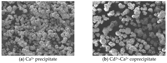Removal Behavior of Heavy Metals from Aqueous Solutions via Microbially ...