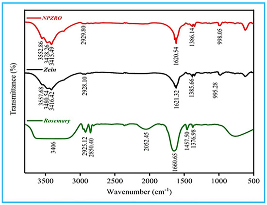 Nanoparticles Based-Plant Protein Containing Rosmarinus officinalis ...