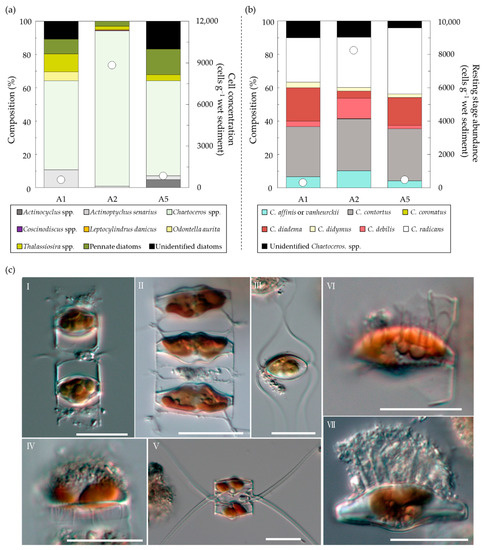 Distribution of Diatom Resting Stages in Sediment near Artificial Reefs ...