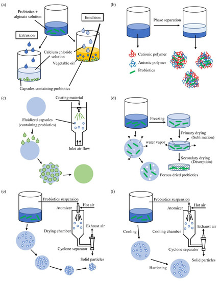 Encapsulated Probiotics: Potential Techniques and Coating Materials for Non-Dairy Food Applications