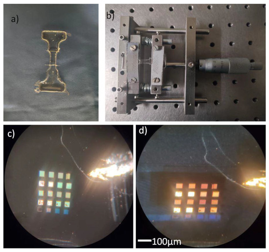 Applied Sciences | Free Full-Text | Exploration of a Flexible ...