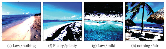 Coastal Sargassum Level Estimation from Smartphone Pictures