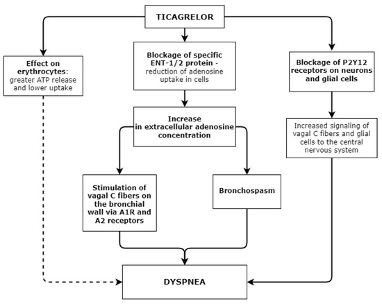 Factors Determining Ticagrelor-Induced Dyspnea in Patients with Acute ...