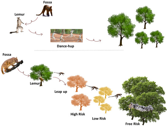 Lemurs Optimizer: A New Metaheuristic Algorithm for Global Optimization