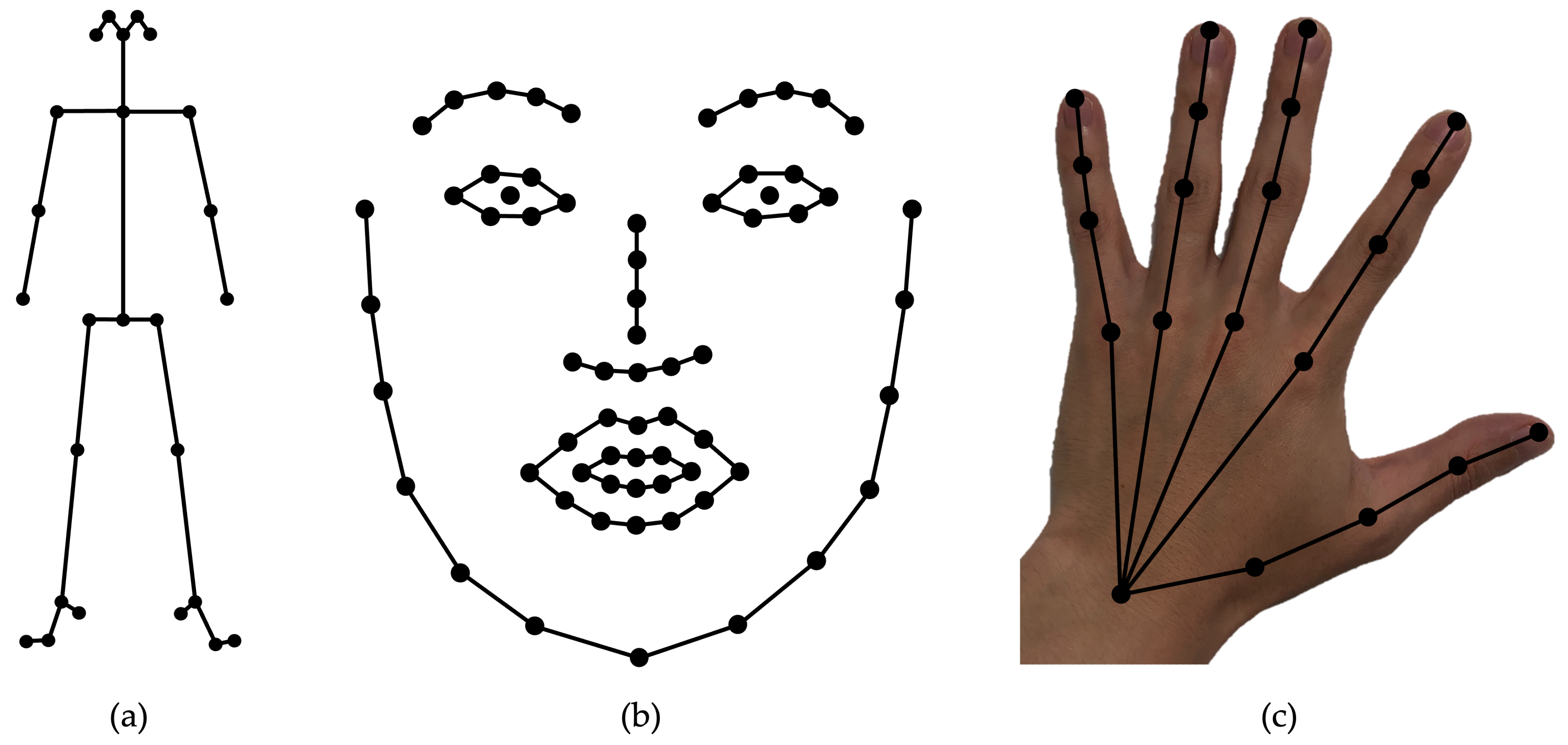 Dataset Transformation System for Sign Language Recognition Based on ...