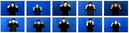 Dataset Transformation System for Sign Language Recognition Based on ...