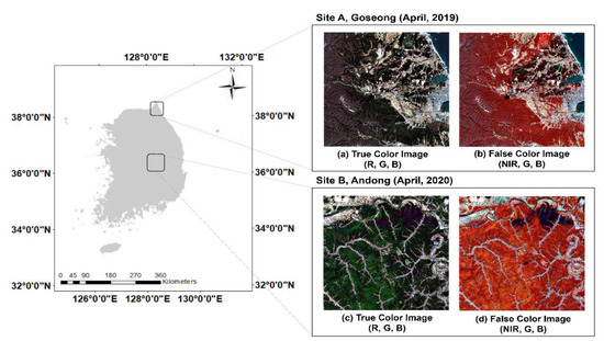 Applied Sciences | Free Full-Text | Machine Learning-Based Forest Burned Area Detection with ...