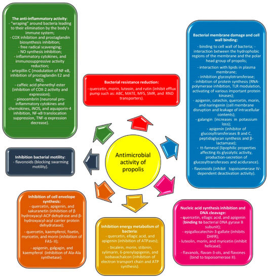 Applied Sciences | Free Full-Text | Propolis as Natural Product in the ...
