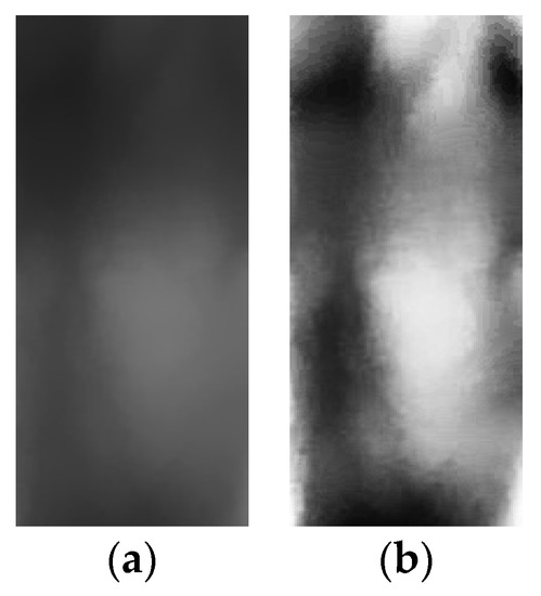 A New Enhancement Edge Detection of Finger-Vein Identification for ...