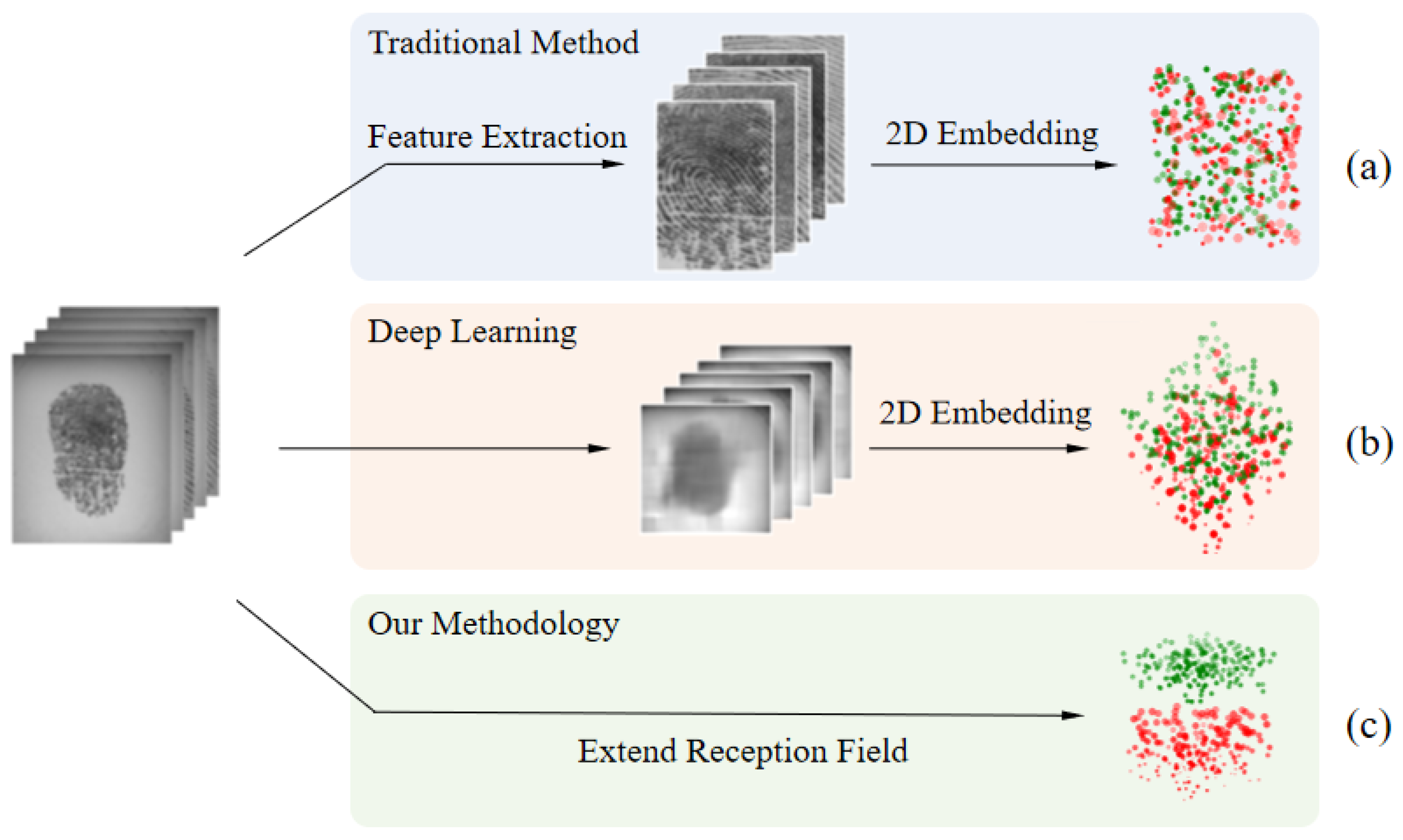 Applied Sciences Free Full Text Extracting Fingerprint Features Using Autoencoder Networks
