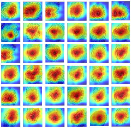 Extracting Fingerprint Features Using Autoencoder Networks For Gender Classification
