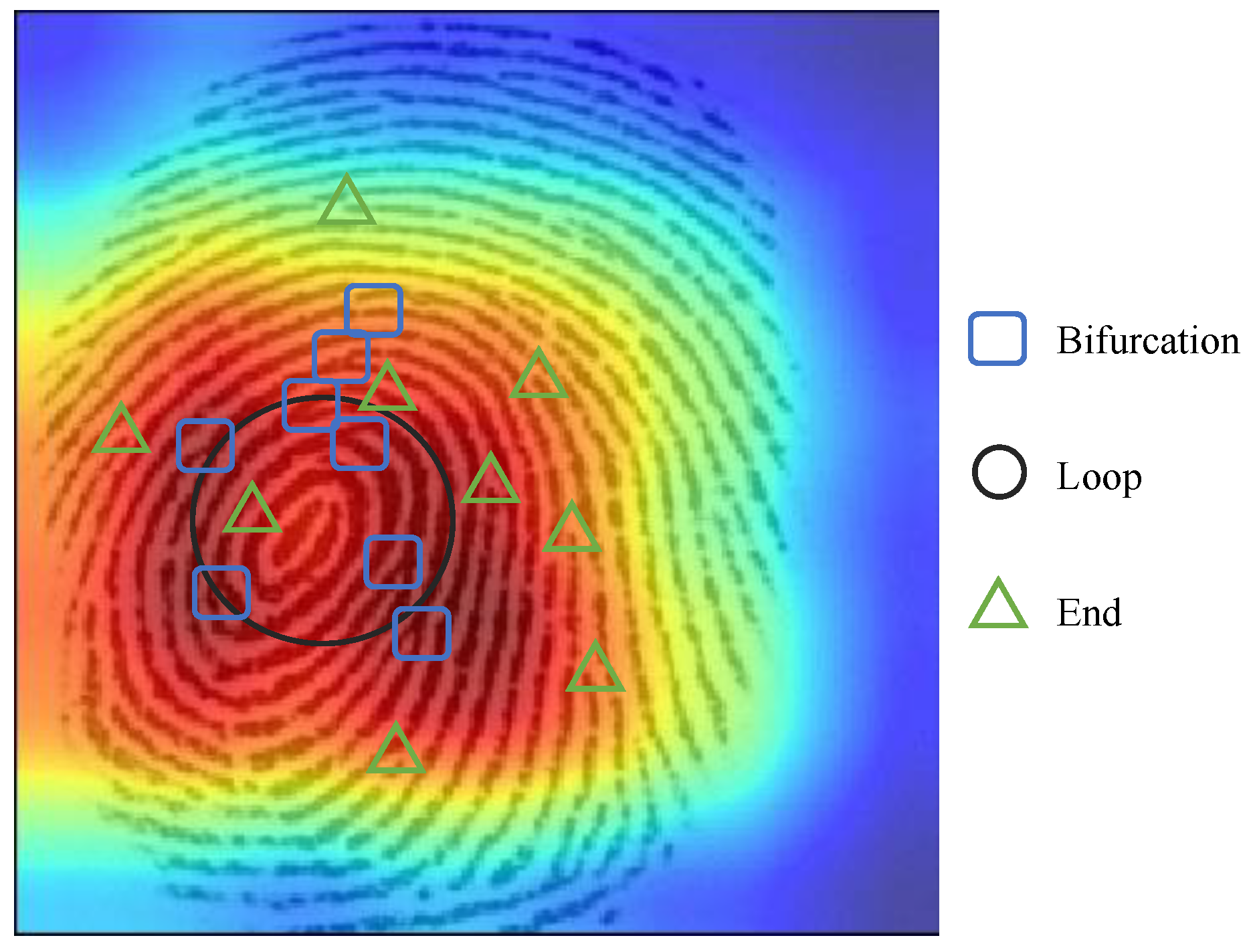 Extracting Fingerprint Features Using Autoencoder Networks For Gender