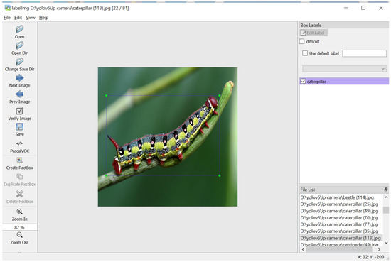 Deep Learning Based Detector YOLOv5 for Identifying Insect Pests