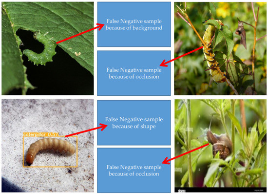 Deep Learning Based Detector YOLOv5 for Identifying Insect Pests