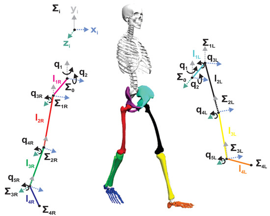 Crouch Gait Analysis and Visualization Based on Gait Forward and Inverse Kinematics