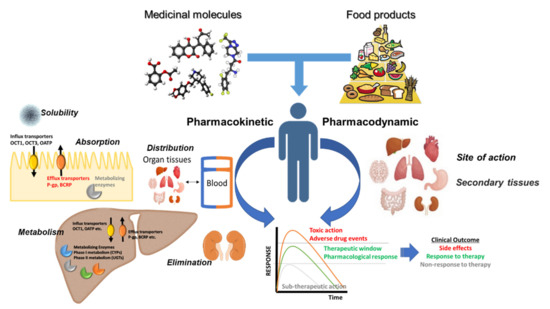 Drug-Food Interactions with a Focus on Mediterranean Diet