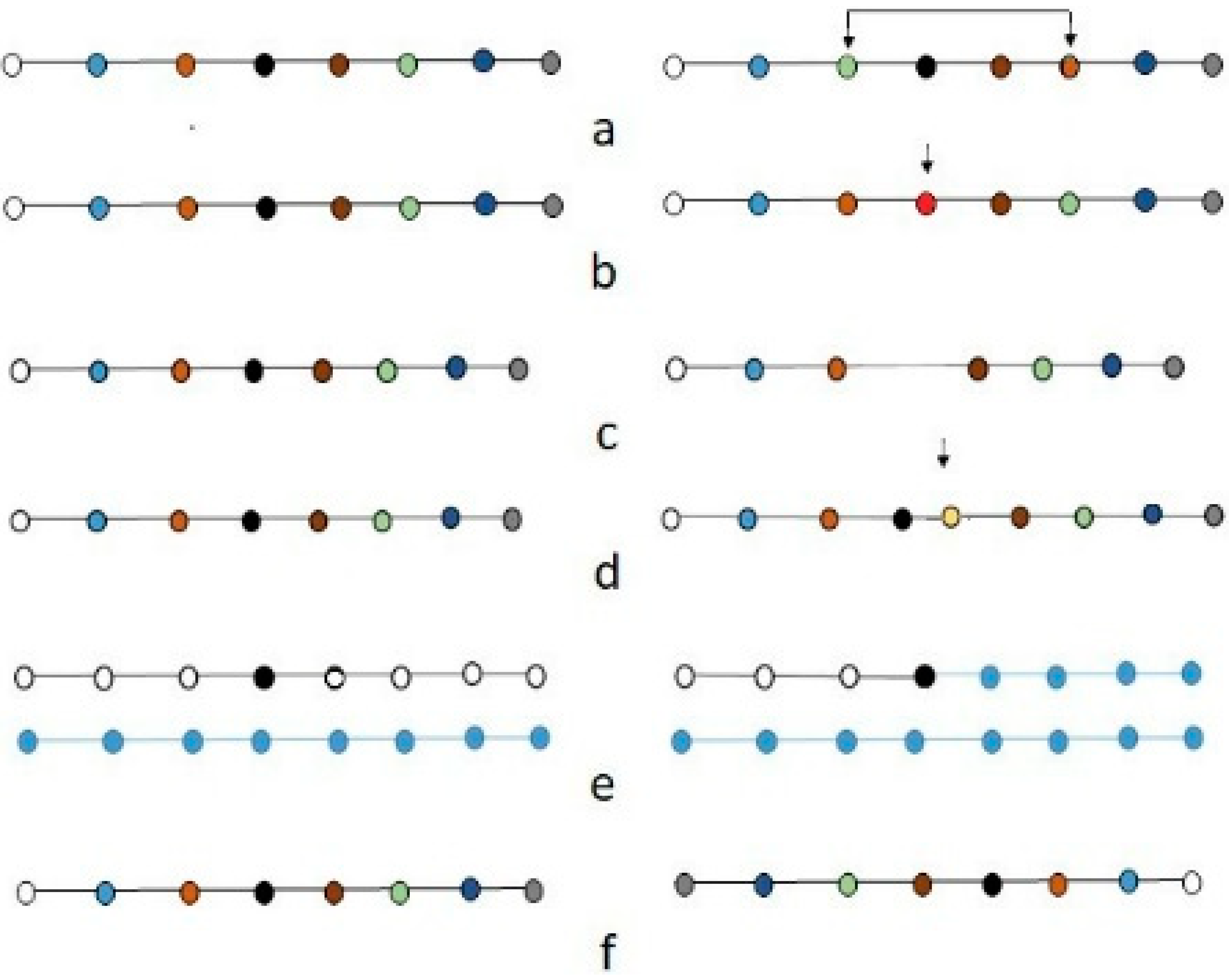 A Variable Neighbourhood Search-Based Algorithm for the Transit Route Network Design Problem