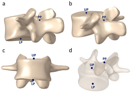 Development and Validation of Two Intact Lumbar Spine Finite Element Models for In Silico ...