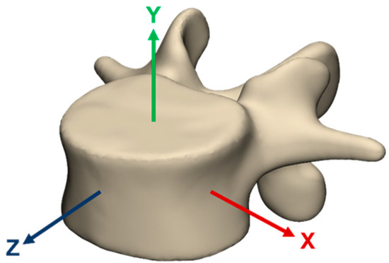 Development and Validation of Two Intact Lumbar Spine Finite Element ...