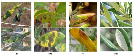 MobiRes-Net: A Hybrid Deep Learning Model for Detecting and Classifying ...