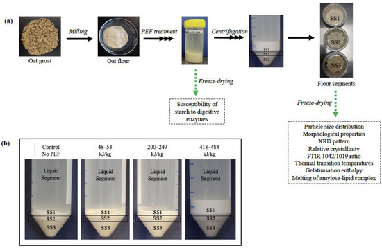 Understanding the Mechanism of How Pulsed Electric Fields Treatment ...