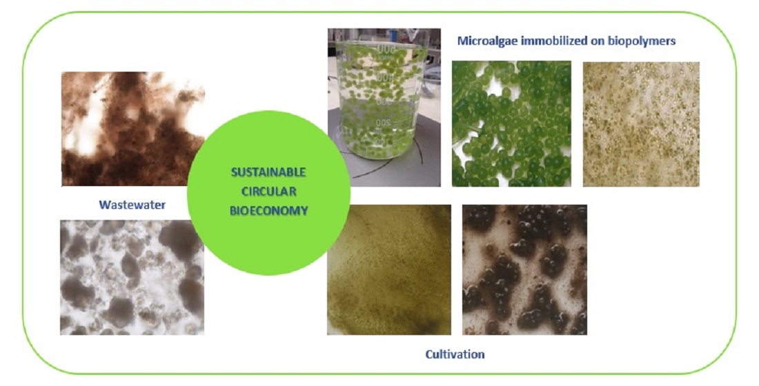 Applied Sciences | Free Full-Text | Industrial Wastewater as a Growth Medium for Microalgal ...