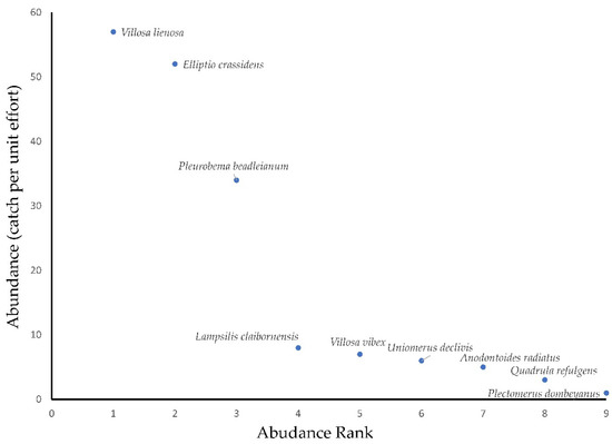 Microhabitat and Landscape Drivers of Richness and Abundance of ...