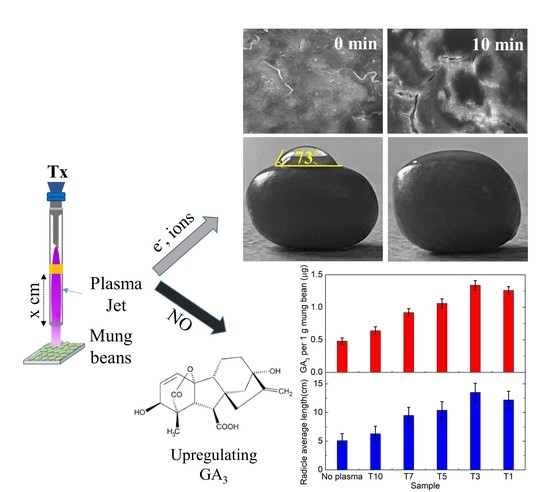 Applied Sciences | Free Full-Text | Effects of Cold Plasma Treatment on ...