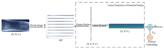 ViT-Cap: A Novel Vision Transformer-Based Capsule Network Model for ...