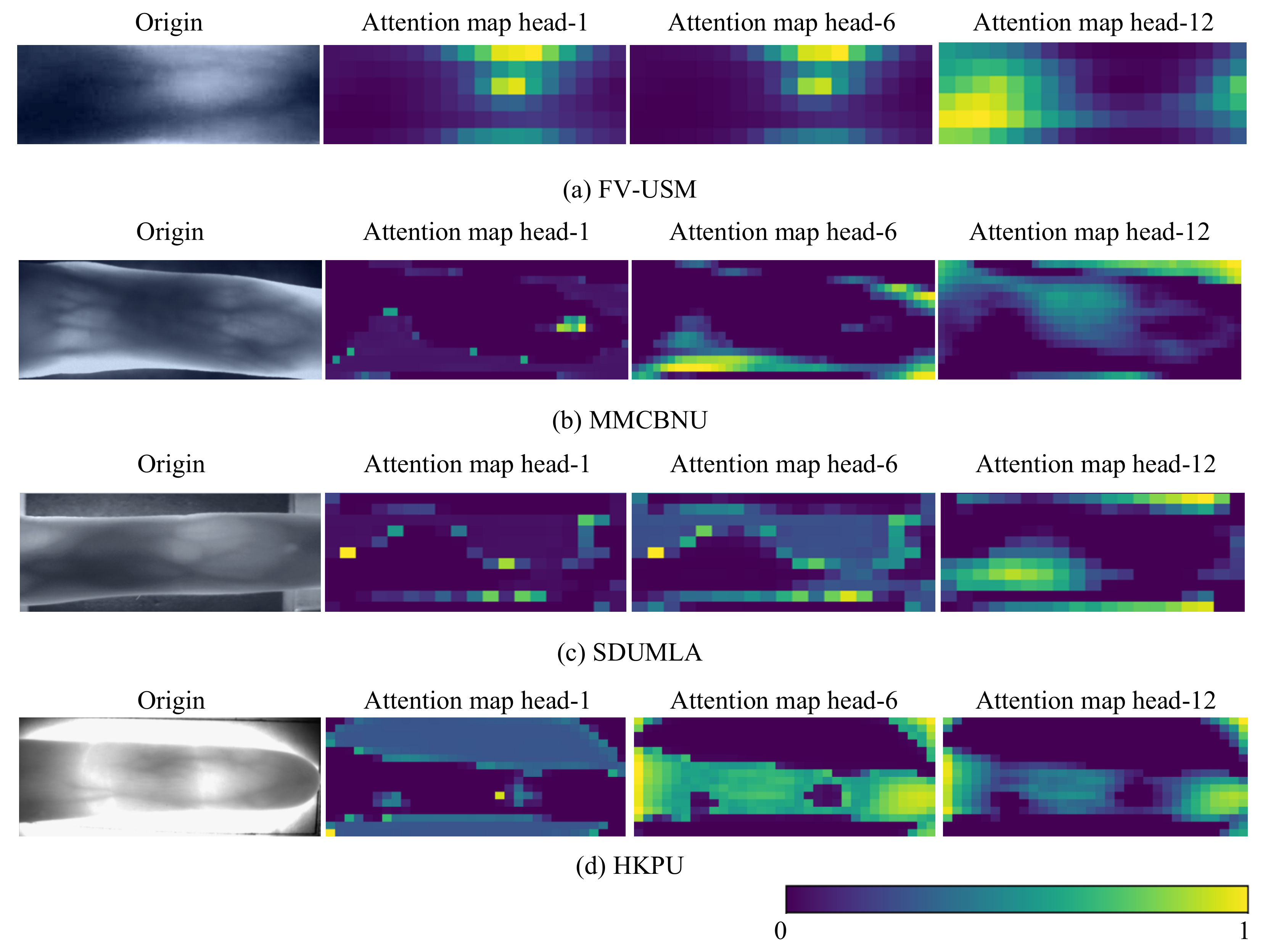 ViT-Cap: A Novel Vision Transformer-Based Capsule Network Model for ...