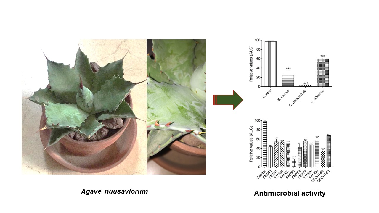 Applied Sciences | Free Full-Text | Ultrasound-Assisted Extraction of ...