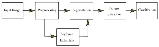 Applied Sciences | Free Full-Text | Classification of Valvular ...
