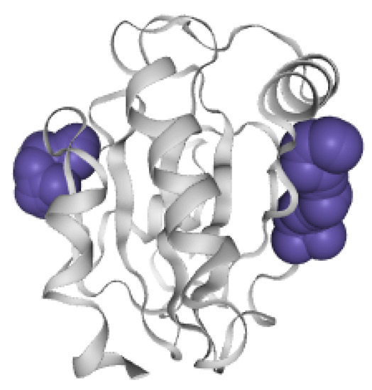 VAPPD: Visual Analysis of Protein Pocket Dynamics