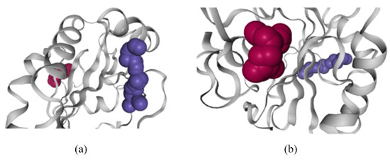 VAPPD: Visual Analysis of Protein Pocket Dynamics