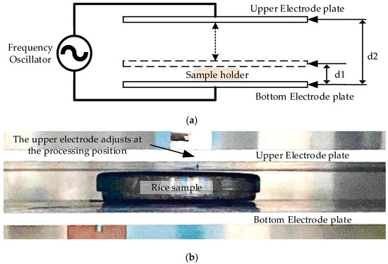Inactivation of Contaminated Fungi in Rice Grains by Dielectric Heating